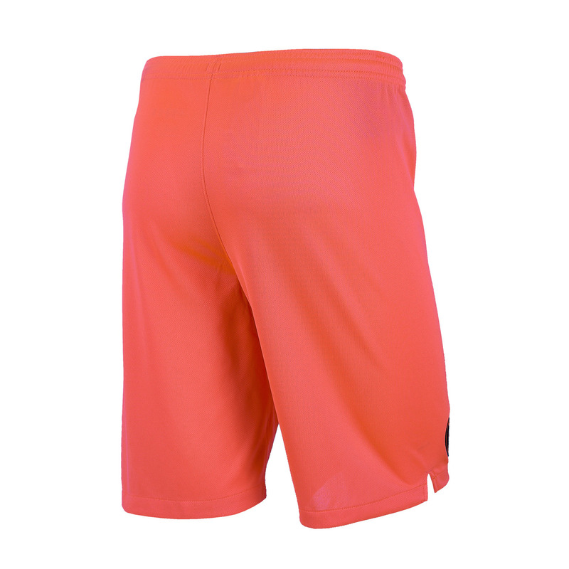 Шорты выездные подростковые Nike PSG 2019/20 – купить в интернет ...