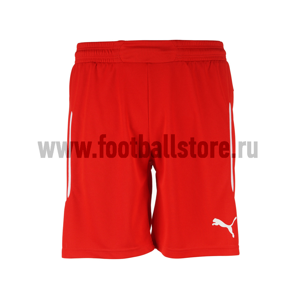 Шорты Puma Statement Shorts 701911011 – купить в интернет магазине ...